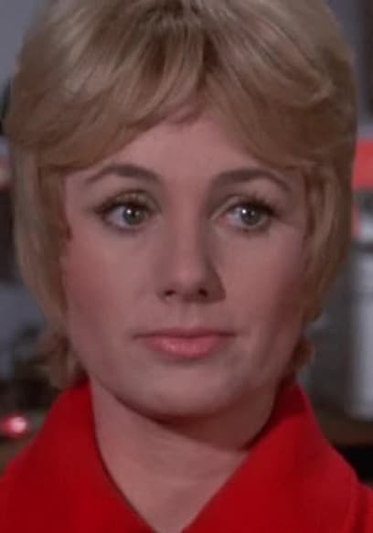 Watch The Partridge Family S01:E25 - A Knight in Shining Armor - Free ...