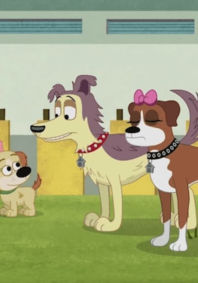 Watch Pound Puppies S01:E09 - Quintuplets - Free TV Shows | Tubi