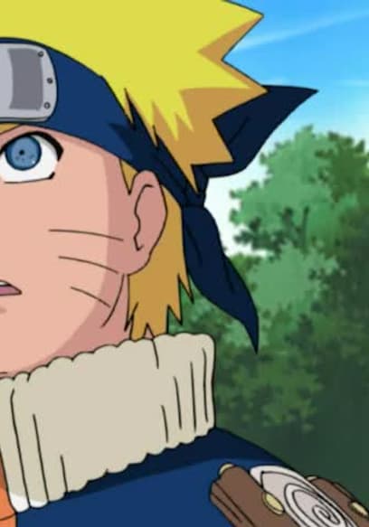 Watch Naruto (Subtitled) S04:E29 - A Legend from the Hidden Leaf: The ...