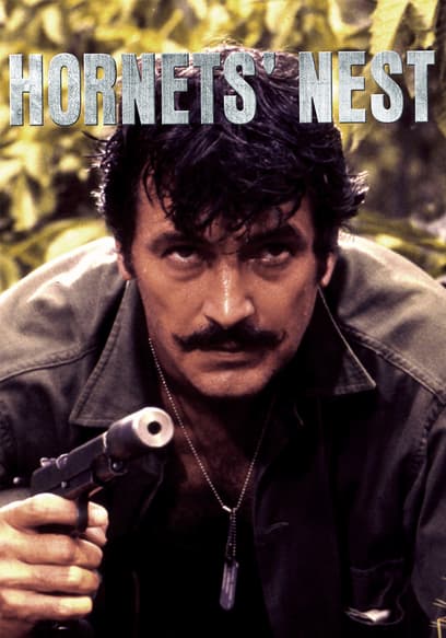 Watch Hornet's Nest (1970) - Free Movies | Tubi