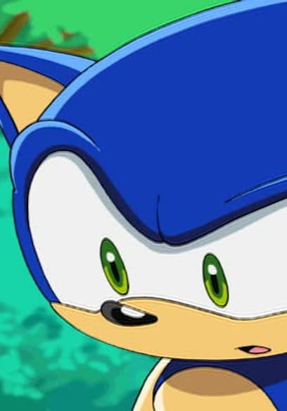 Watch Sonic X S01:E14 - That's What Friends Are For - Free TV Shows | Tubi