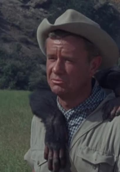 Watch Daktari S02:E03 - Daktari's Last Hunt - Free TV Shows | Tubi