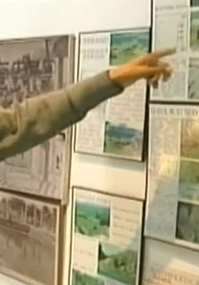 Watch Whacked Out Videos S01:E11 - Episode 11 - Free TV Shows | Tubi