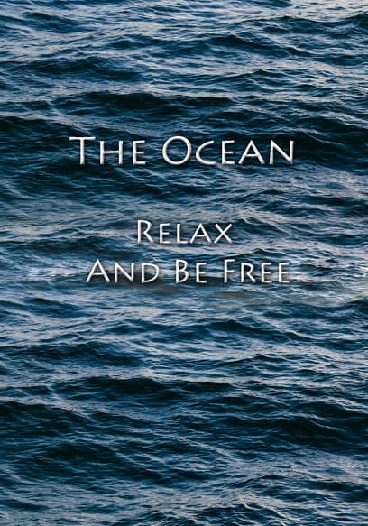 Watch The Ocean: Relax and Be Free (2010) - Free Movies | Tubi