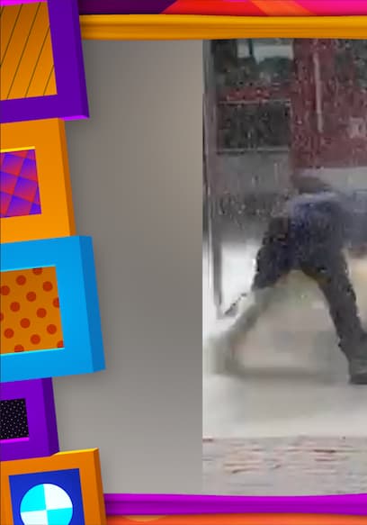 Watch AFV's Ultimate Top 1000 S01:E06 - Kitty Corner - Free TV Shows | Tubi