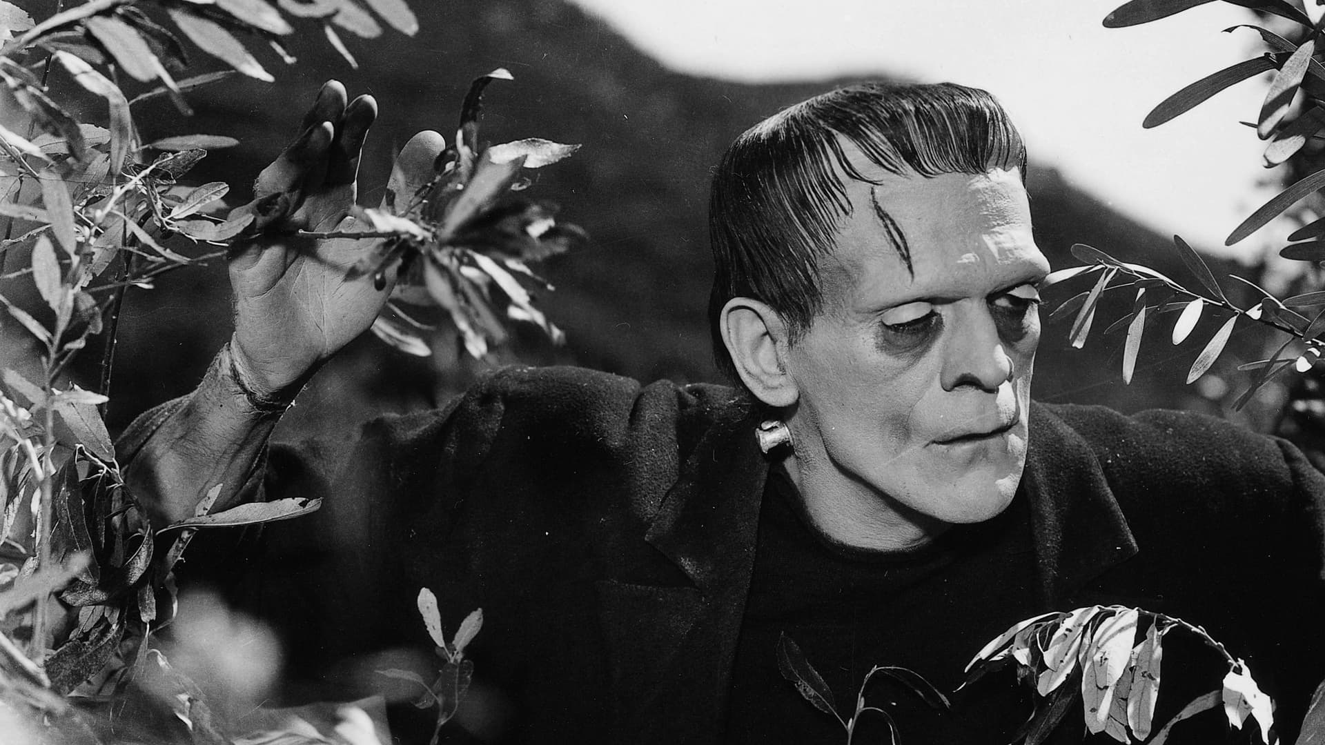 Watch Frankenstein (1931) - Free Movies | Tubi