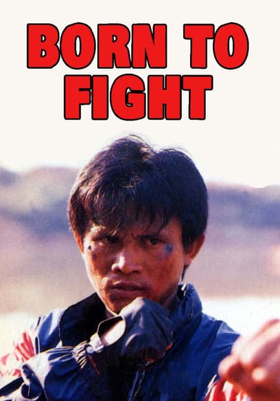 Watch Born to Fight (1986) - Free Movies | Tubi