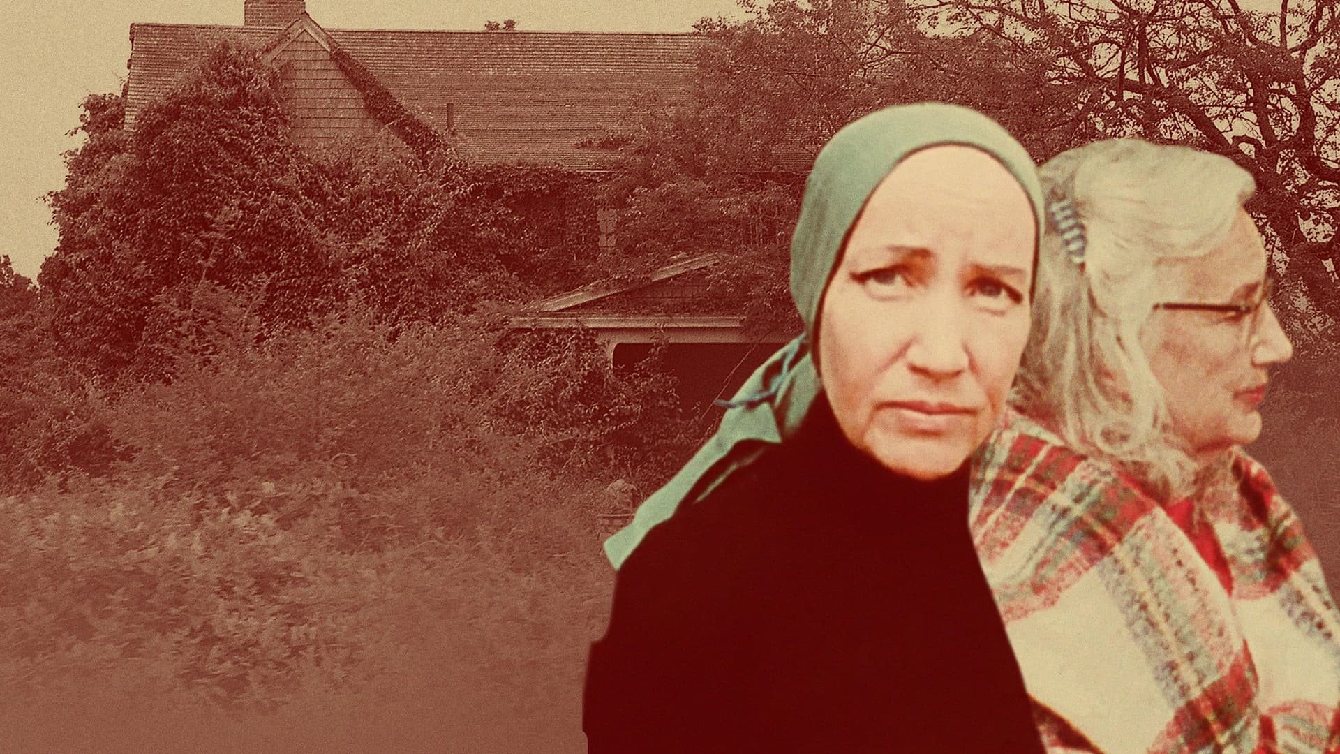 Watch That Summer 2017 Free Movies Tubi