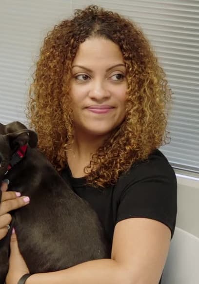 Watch The Vet Life S01:E05 - Raining Cats, Dogs and Tigers - Free TV ...