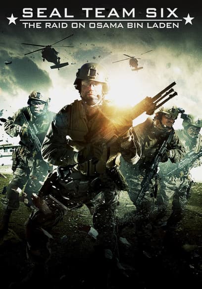 Watch Seal Team Six: The Raid on Osama Bin Laden (2013 - Free Movies | Tubi