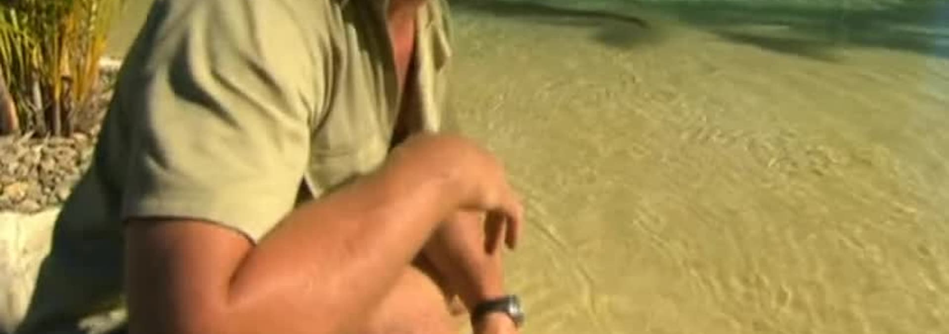 Watch The Crocodile Hunter S05:E05 - Casper - the White Crocodile ...