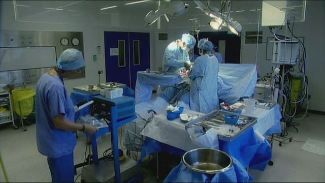 Watch Fat Doctor - Free TV Shows | Tubi