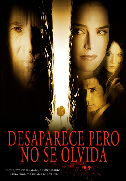 Watch Desaparece Pero No Se Olvida (Doblado) S01:E01 - Parte 1 - Free TV Shows | Tubi