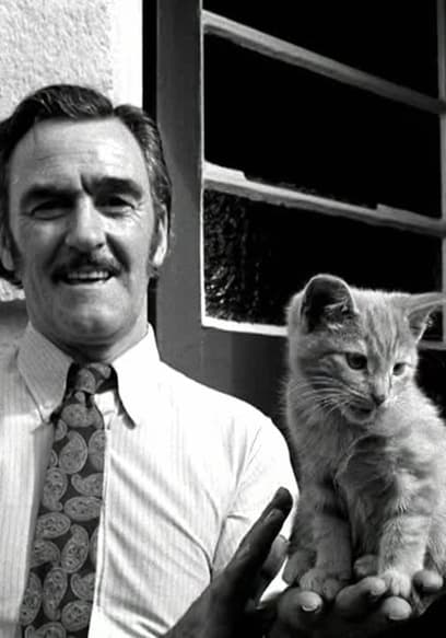 Watch Murderers and Their Mothers S02:E01 - Mark Howe - Free TV Shows ...