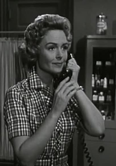 Watch The Donna Reed Show S03:E29 - The Merry Month - Free TV Shows | Tubi