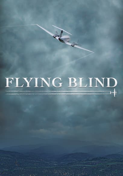 Watch Flying Blind (2017) - Free Movies | Tubi
