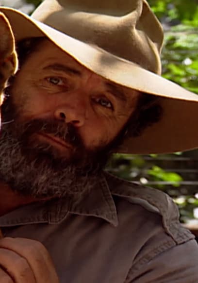 Watch Killer Instinct with Rob Bredl S01:E08 - Dingoes - Free TV Shows ...