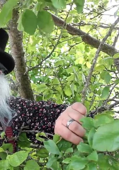 Watch Farting Zombies of N.I.G.H.T. Fall S01:E04 - Flatus Explanantia ...