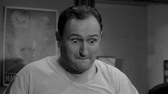 Watch Car 54, Where Are You? S01:E21 - Toody and the Art World - Free ...