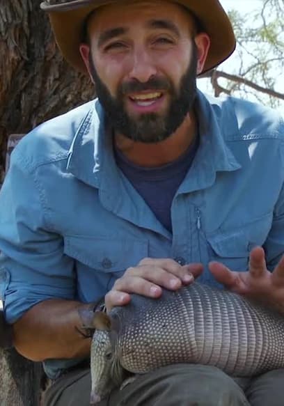 Watch Brave Wilderness S02:E01 - Animal Mealtime - Free TV Shows | Tubi