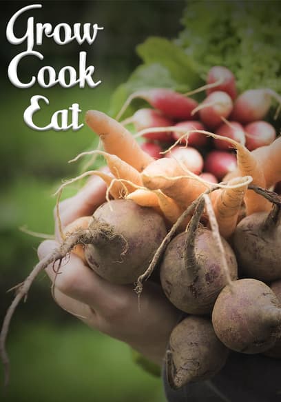 Watch Grow Cook Eat Season 2 - Free TV Shows | Tubi