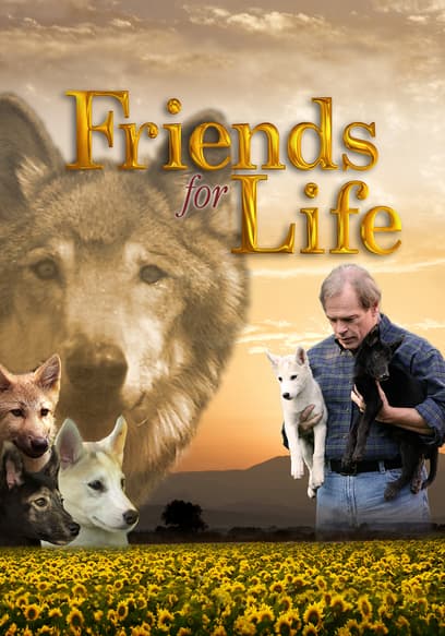 Watch Friends for Life (2008) - Free Movies | Tubi