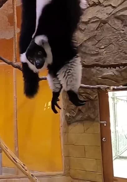 Watch Amazing Animals with Cowboy Jack S01:E07 - Interactive Aquarium ...