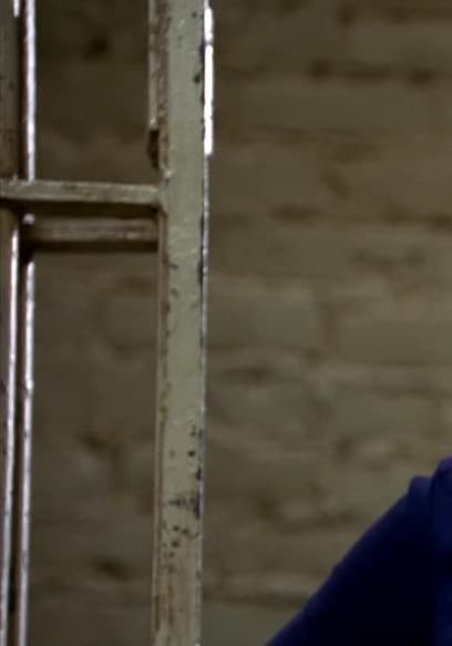 Watch NYPD Blue S09:E20 - Oedipus Wrecked - Free TV Shows | Tubi