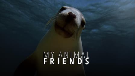 Watch My Animal Friends - Free TV Shows | Tubi