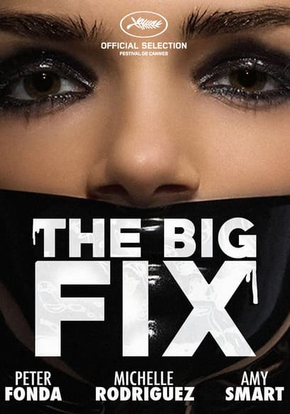 Watch The Big Fix (2012) - Free Movies | Tubi
