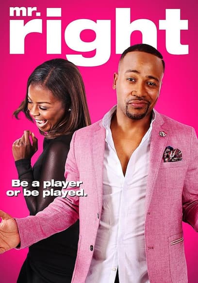 Watch Mr. Right (2015) - Free Movies | Tubi