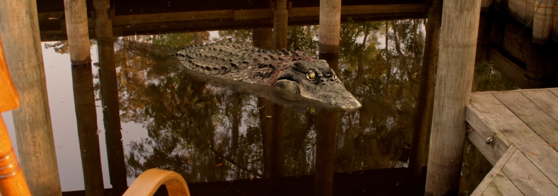 Watch Alligator Alley (2013) - Free Movies | Tubi