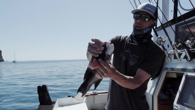 Watch MeatEater Hunts S01:E03 - Hells Canyon Chukar Hunting With Morgan ...