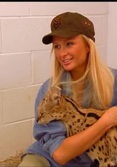 Watch The Simple Life S03:E08 - Zoo - Free TV Shows | Tubi