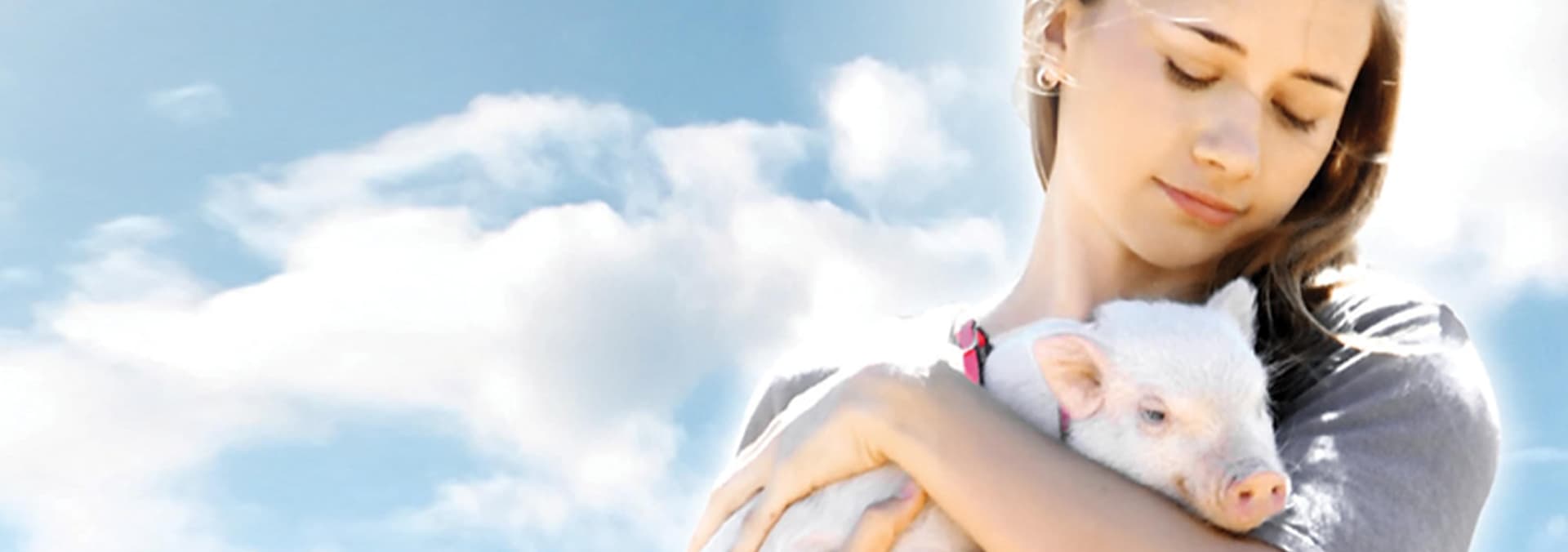 Watch Expecting Mary (2010) - Free Movies | Tubi