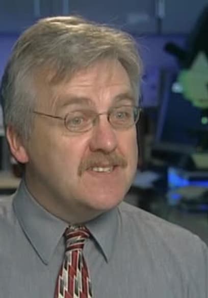 Watch Forensic Files S10:E26 - Elemental Clue - Free TV Shows | Tubi