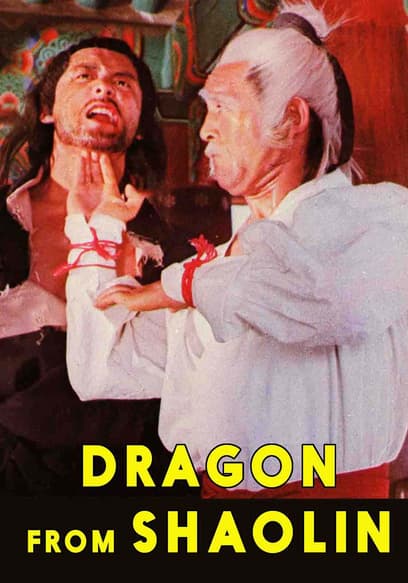 Watch Dragon From Shaolin (Brawl Busters) (1978) - Free Movies | Tubi
