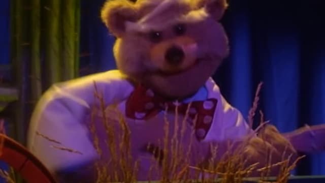 Watch St. Bear's Dolls' Hospital - Free TV Shows | Tubi