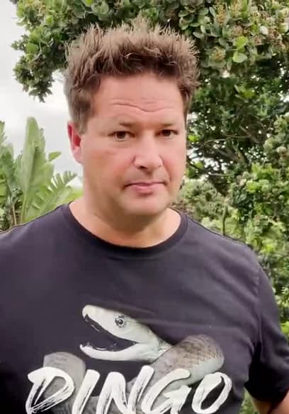 Watch Dingo Untamed S01:E19 - Moving Two Nile Crocs - Free TV Shows | Tubi