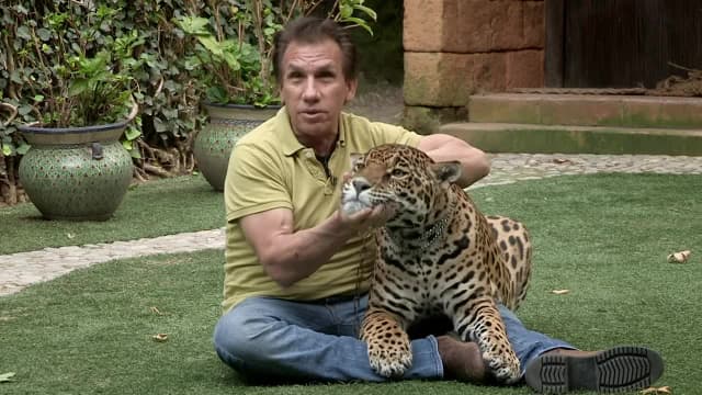 Watch Preposterous Pets - Free TV Shows | Tubi