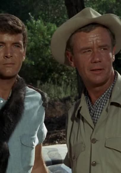 Watch Daktari S02:E10 - Revenge of the Leopard - Free TV Shows | Tubi