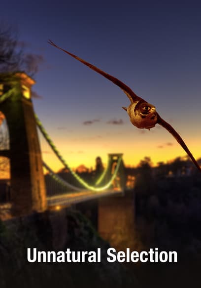 Watch Unnatural Selection S01:E01 - Unnatural Selection - Free TV Shows ...