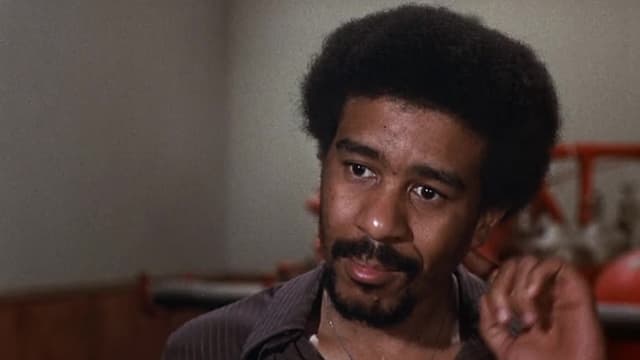 Watch The Partridge Family S01:E09 - Did You Hear the One About Danny ...