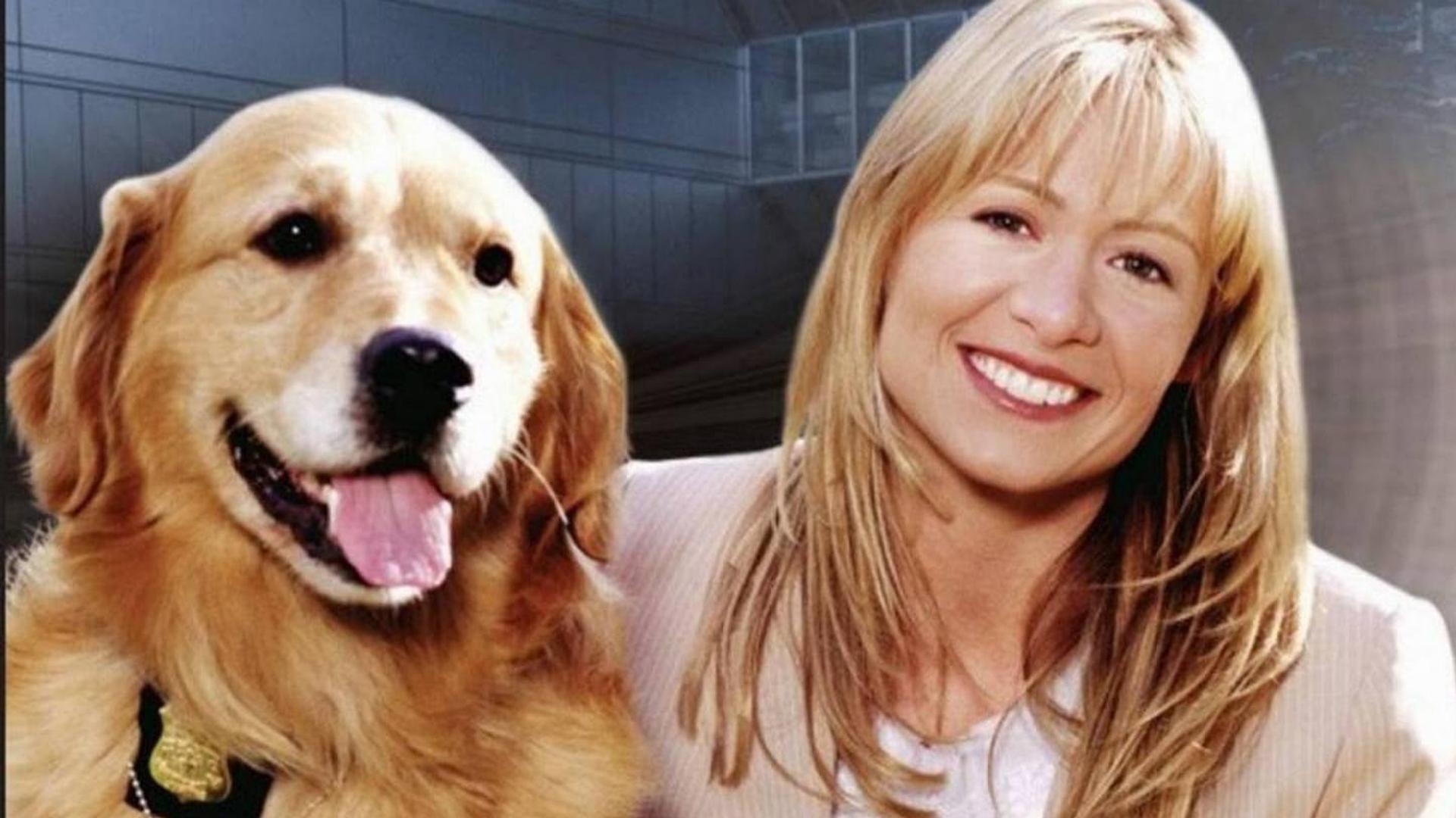 Watch Sue Thomas: F.B.Eye Season 2 - Free TV Shows | Tubi