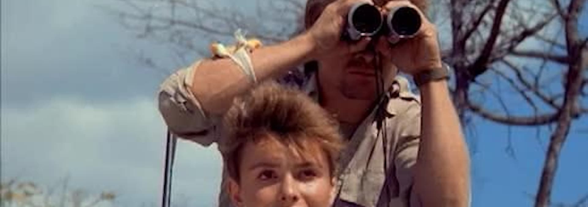 Watch Tusks (1988) - Free Movies | Tubi