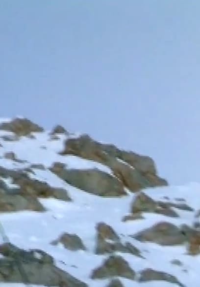 Watch Best of Extreme Snowboarding and Skiing S01:E0 - Free TV Shows | Tubi