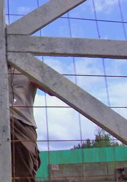 Watch Adrenaline Project S02:E16 - All in the Family - Free TV Shows | Tubi