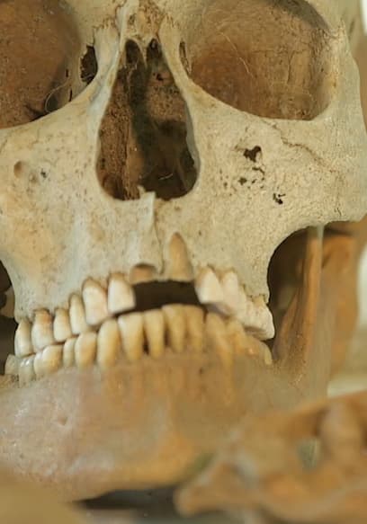 Watch Crime Scene Solvers S06:E08 - A Corpse in the Cemetery: The ...