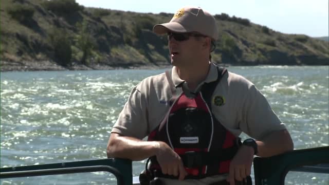 Watch Wardens - Free TV Shows | Tubi