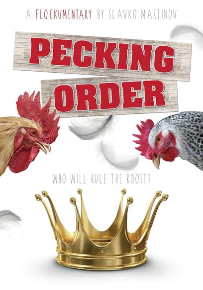 Watch Pecking Order (2017) - Free Movies | Tubi
